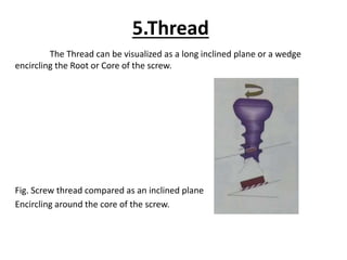 Anatomy of a bone screw, cortical screw vs cancellous screw, wood screw ...