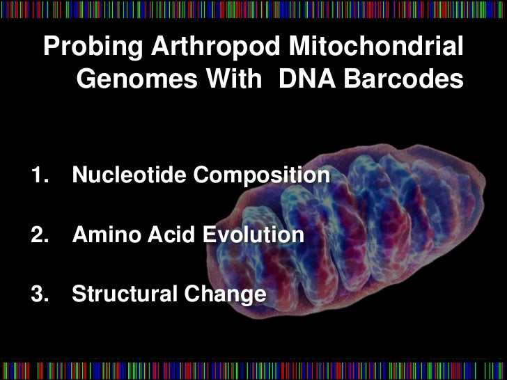 Paul Hebert - Saturday Closing Plenary