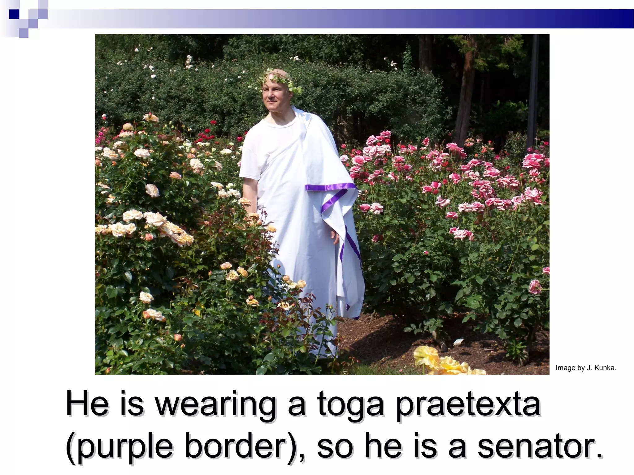 Saturnalia Presentation | PPT