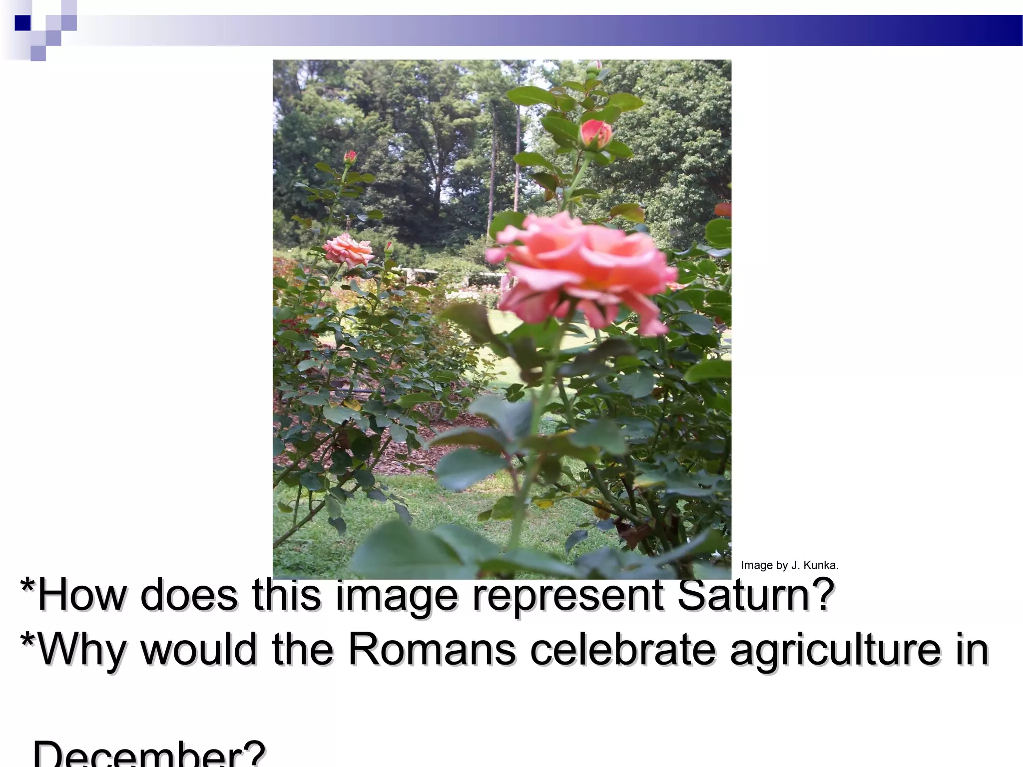 Saturnalia Presentation | PPT