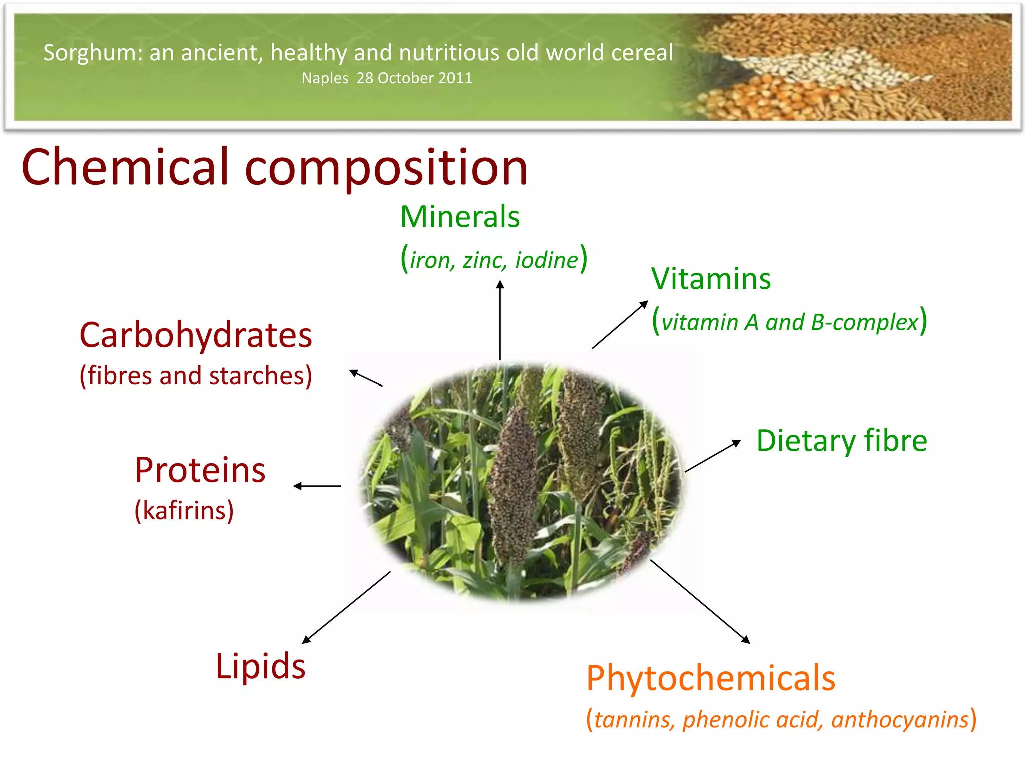Sorghum:an ancient, nutritious and healthly old world cereal | PPTX