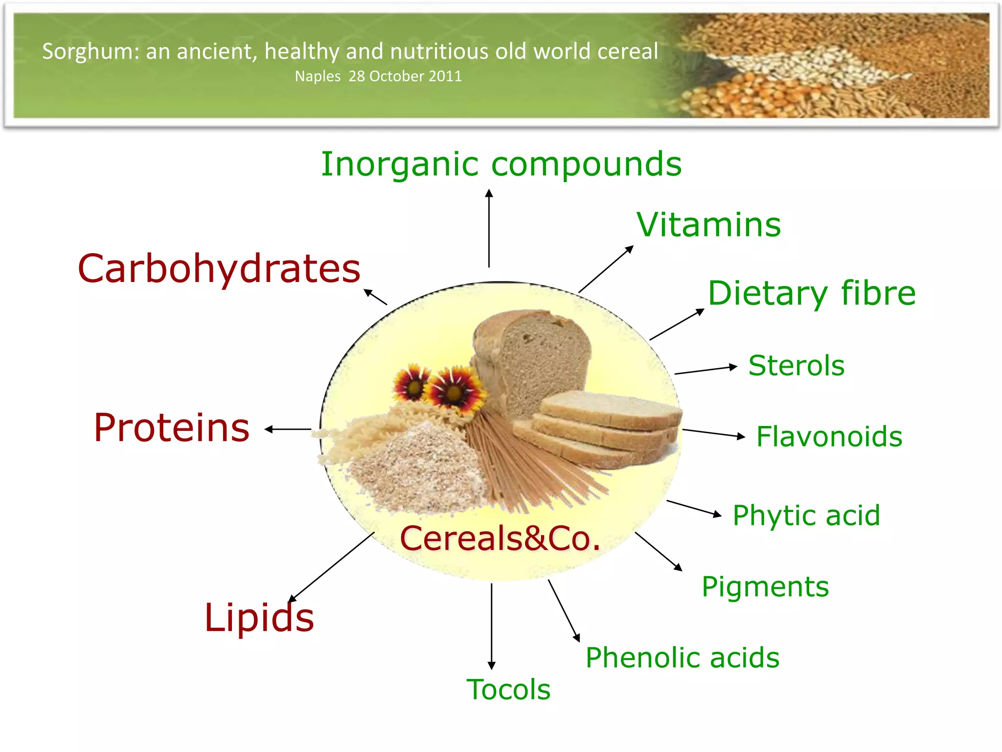 Sorghum:an ancient, nutritious and healthly old world cereal | PPTX