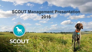 Scout template PPT styling | PPTX