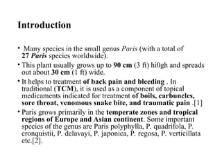 satuwa-1.ppt Paris polyphylla Himalayan herbal medicine | PPT