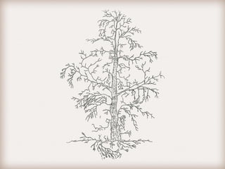 Satyajit Ray Family Tree