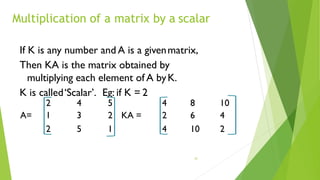 matrix | PDF