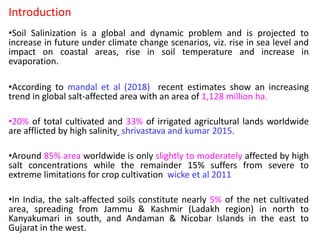 about salinity stress | PPT