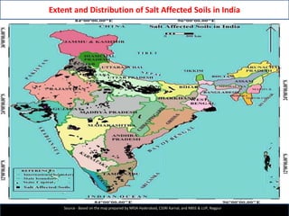 about salinity stress | PPT