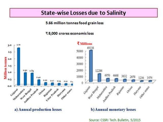 about salinity stress | PPT