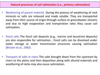 about salinity stress | PPT