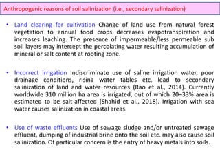 about salinity stress | PPT