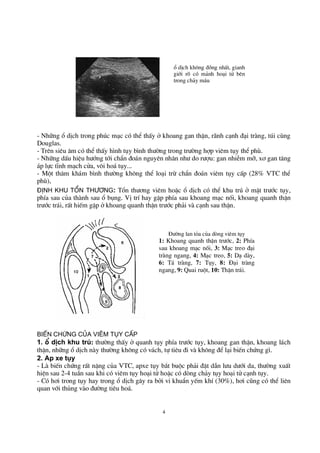 Siêu âm tụy | PDF