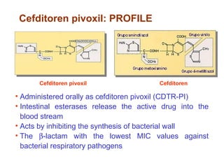 Cefditoren pivoxil: a new antibiotic for the treatment of respiratory ...