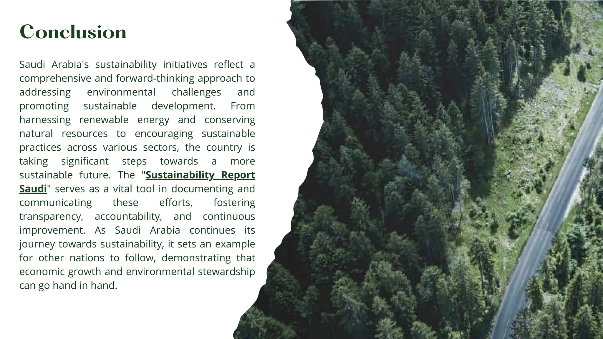 Saudi Arabia's Journey Towards Sustainability: An Overview | PDF