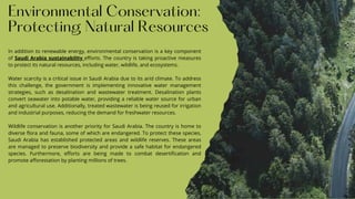Saudi Arabia's Journey Towards Sustainability: An Overview | PDF