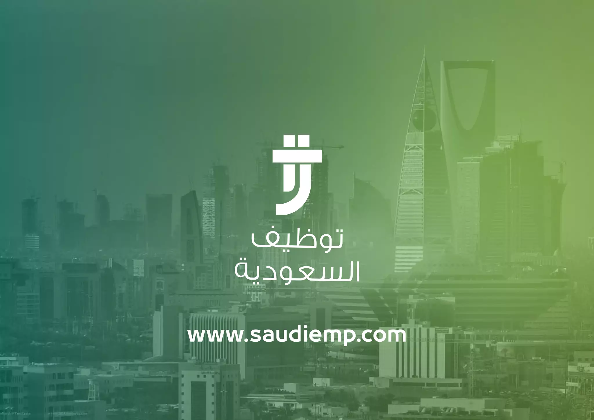 Saudi employment profile | PDF