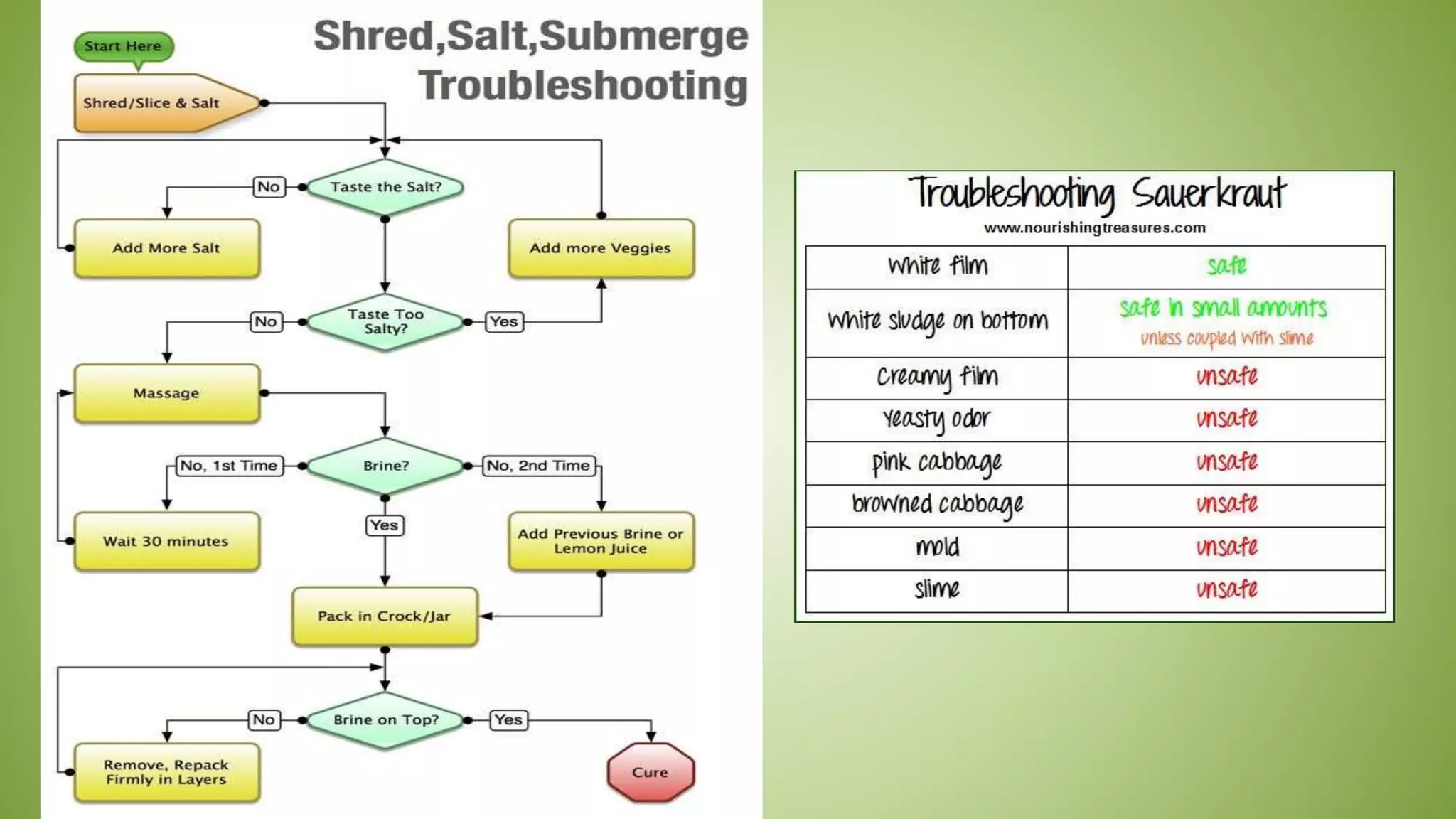 Sauerkraut Fermentation | PPTX