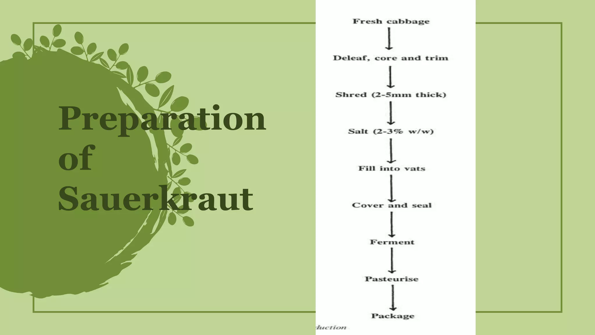 Sauerkraut Fermentation | PPTX