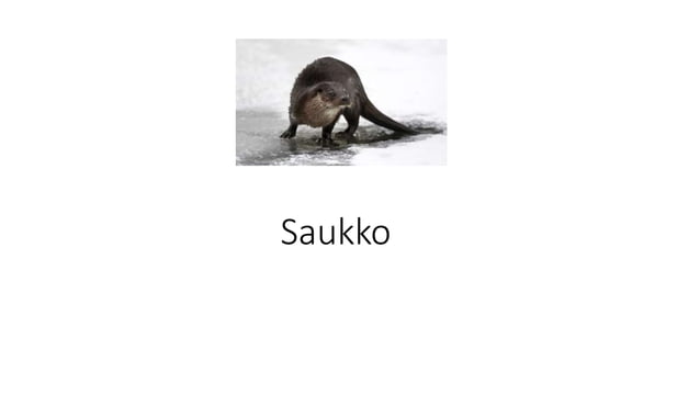 Saukko 3 | PPTX