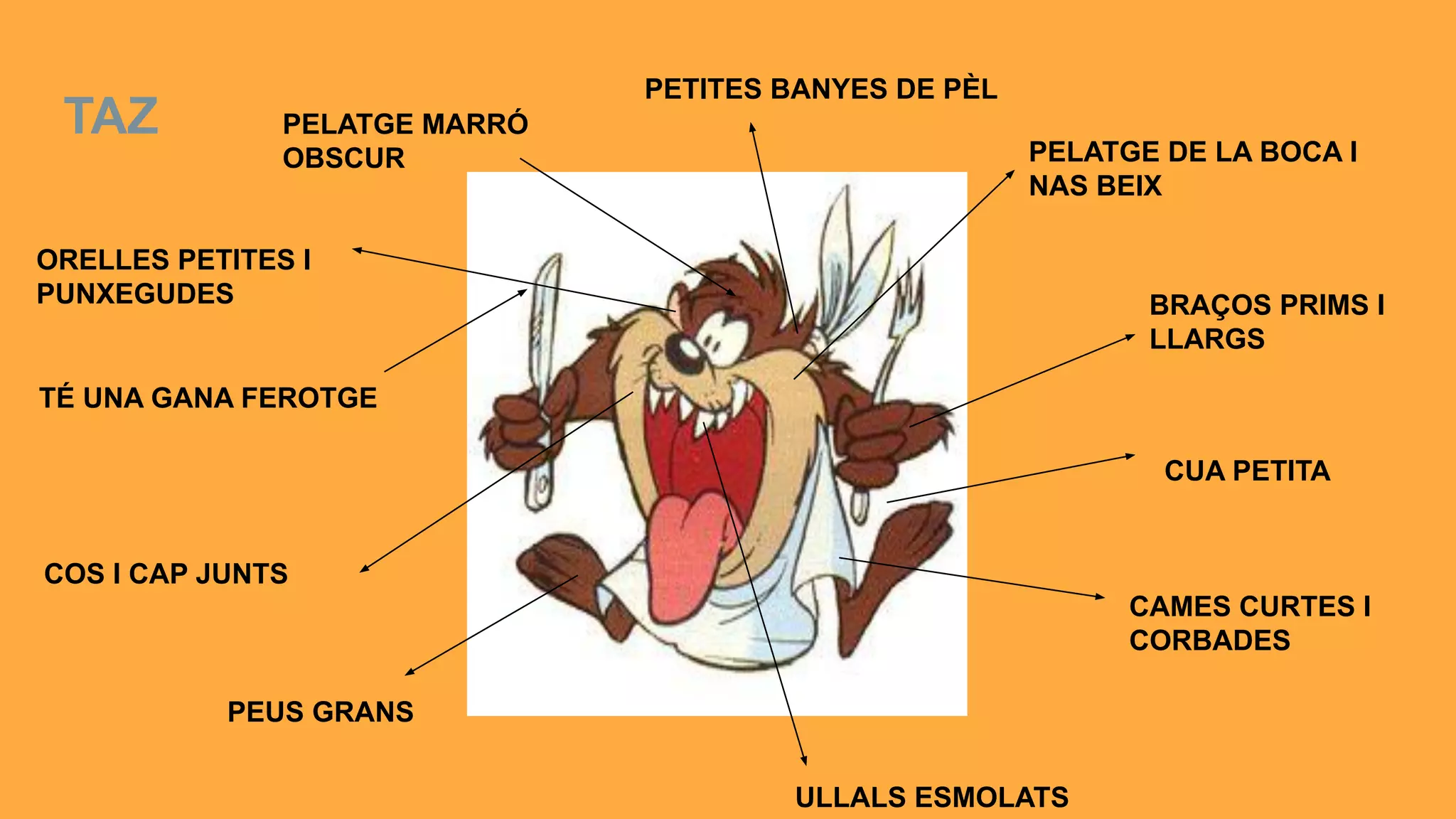 Saul Rodrigo Robles - TAZ.pdf