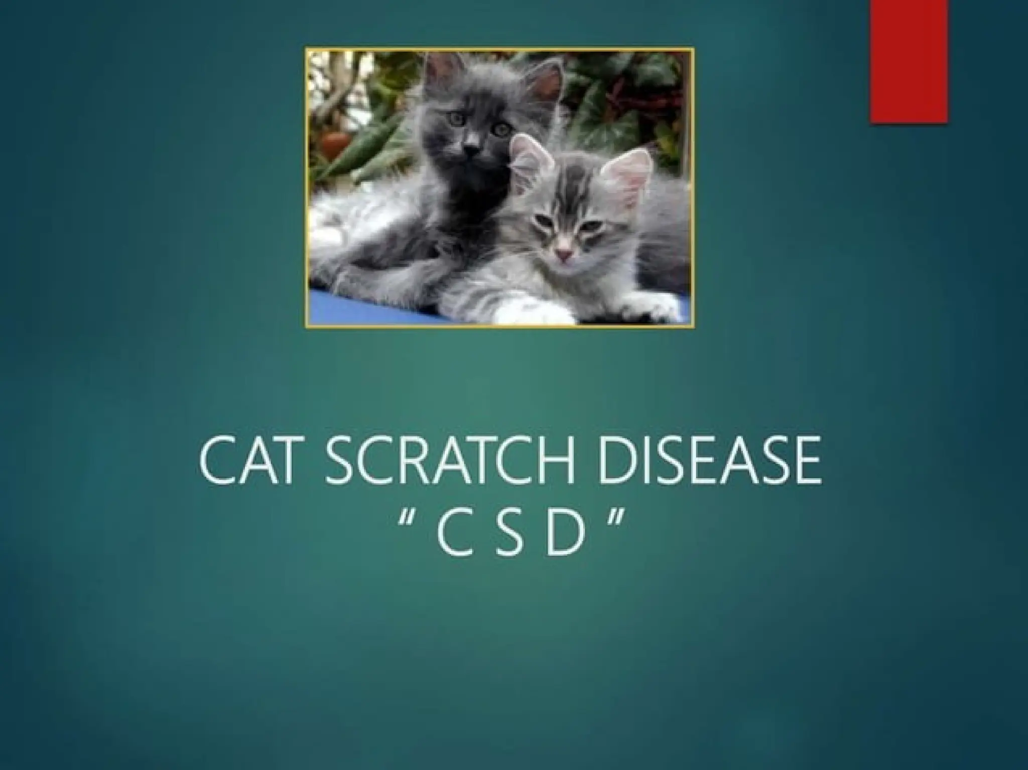 saumya raj, 73A, infectious diseases, topic-felinosis or cat scratch ...