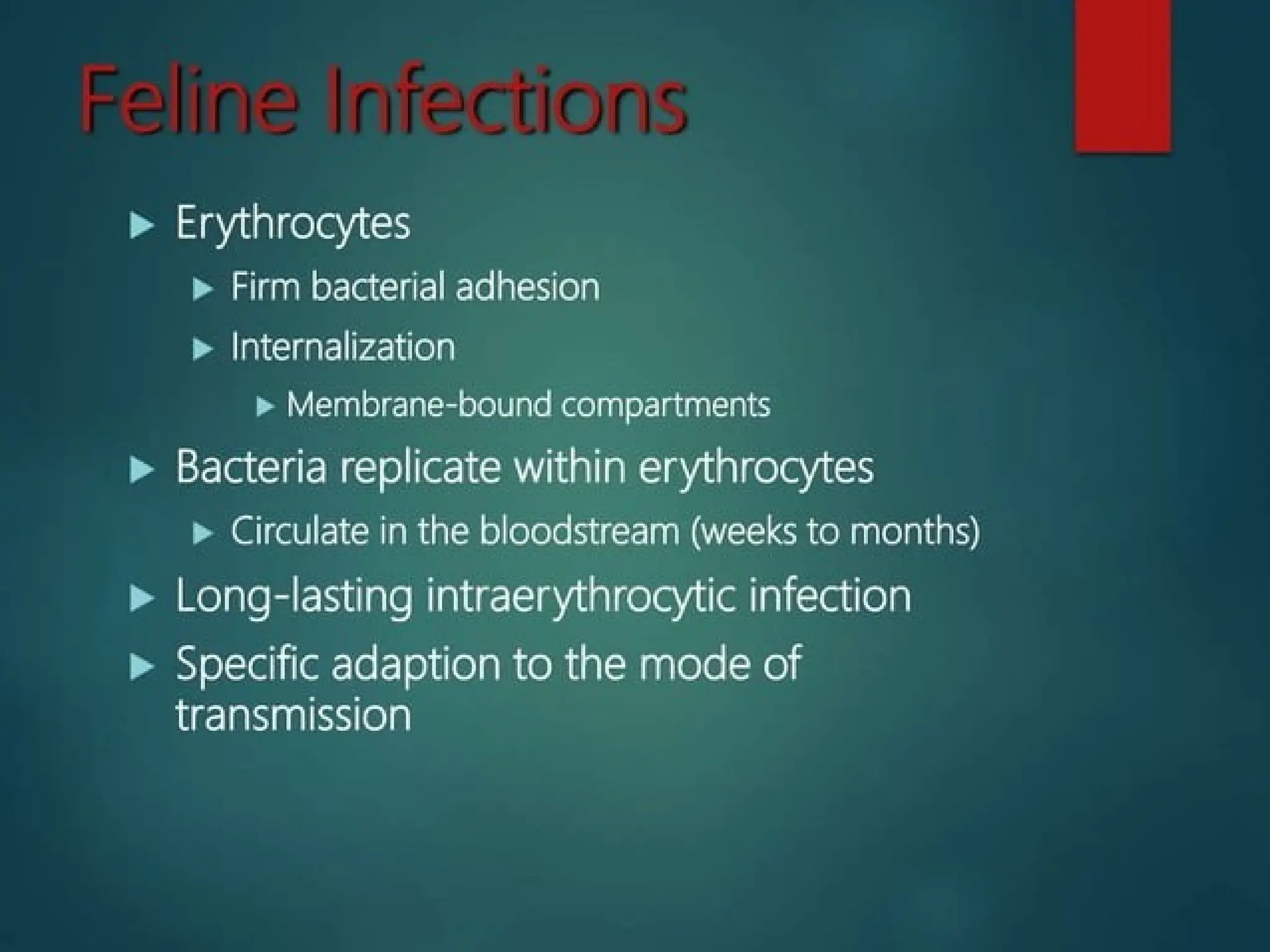 saumya raj, 73A, infectious diseases, topic-felinosis or cat scratch ...