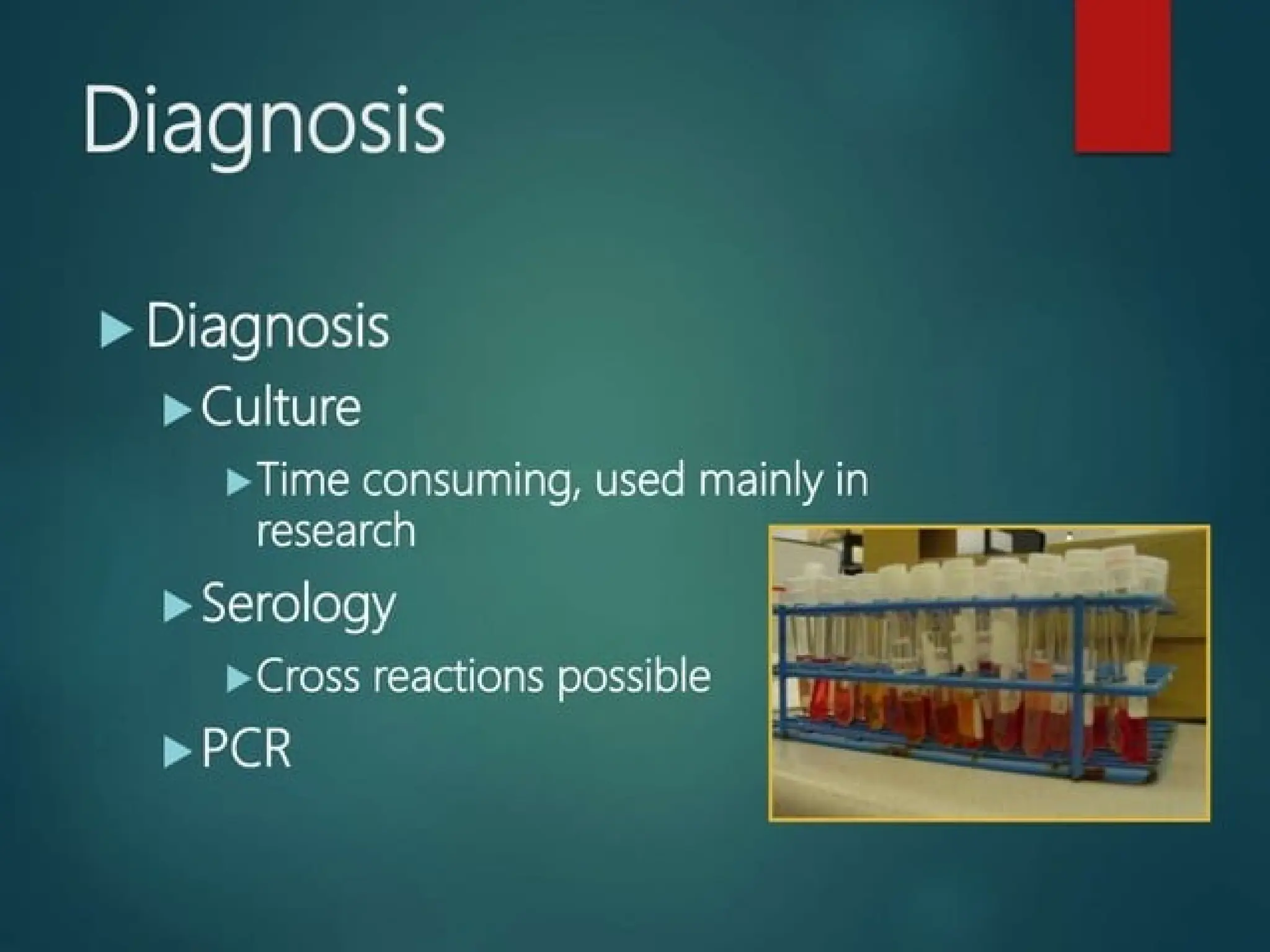 saumya raj, 73A, infectious diseases, topic-felinosis or cat scratch ...