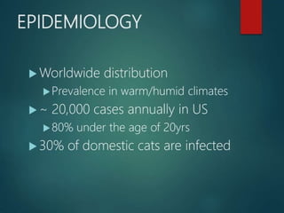 saumya raj, 73A, infectious diseases, topic-felinosis or cat scratch ...