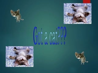 saumya raj, 73A, infectious diseases, topic-felinosis or cat scratch ...