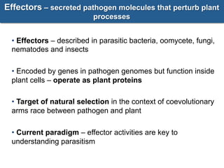 Exploiting pathogen biology for disease resistance breeding | PPT