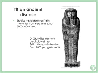 Tuberculosis - World TB Day 2011 | PPT