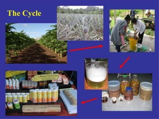 SAURABH BASIC ENZYMES | PPT