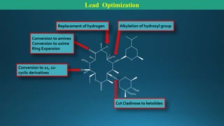 Lead Optimization of Macrolide drug | PPT