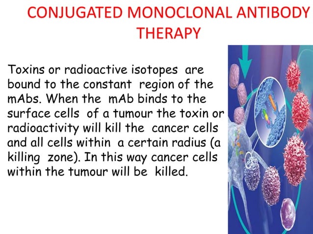Saurabh monoclonal ppt | PPT