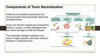 Saurabh patel(2404)_TOPIC10 MICROBIOLOGY PRESENTATION.pptx