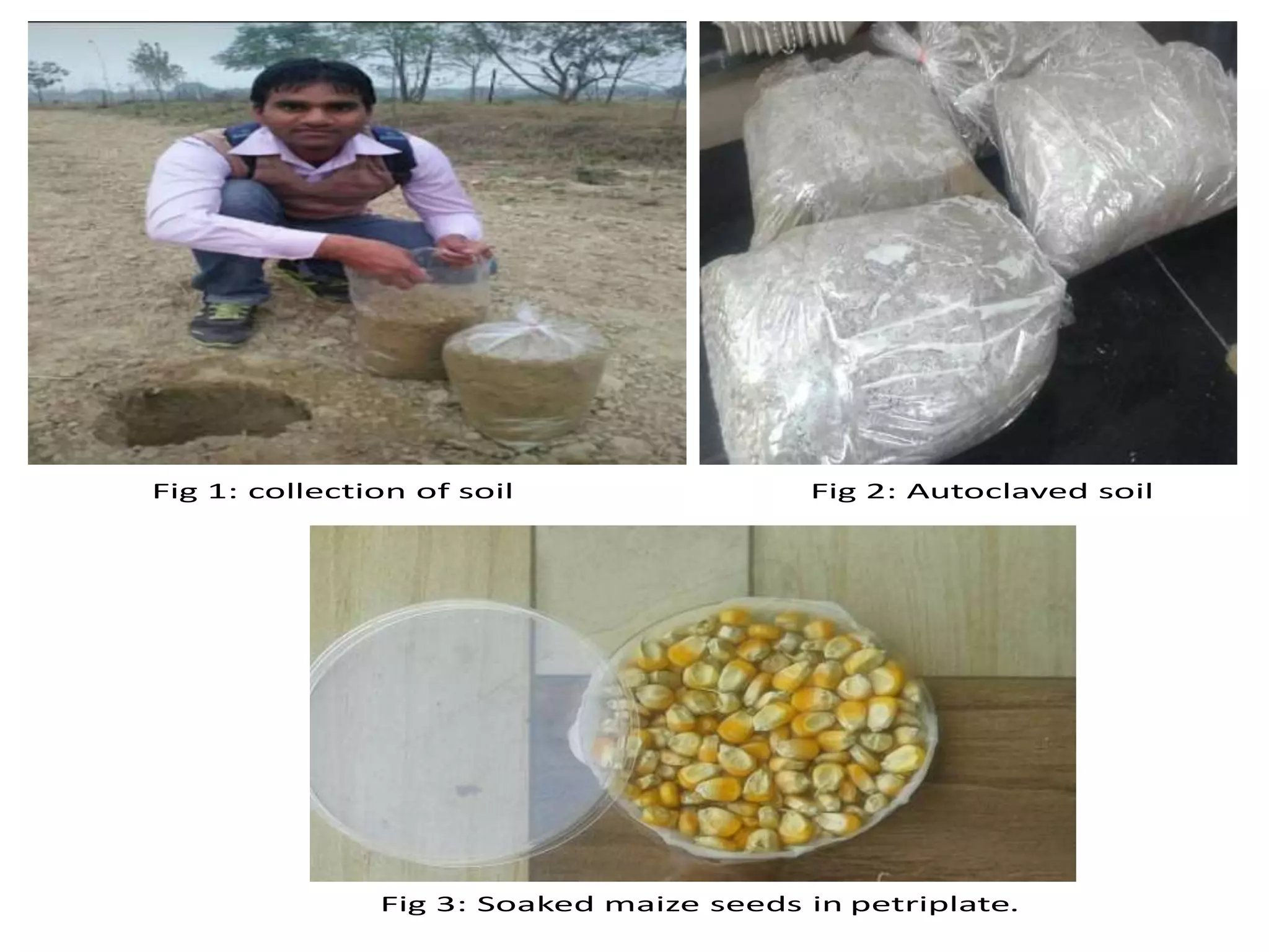 Saurabh pgpr ppt | PDF