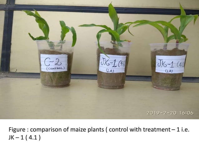 Saurabh pgpr ppt | PDF