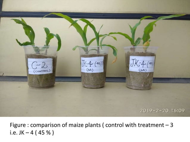 Saurabh pgpr ppt | PDF