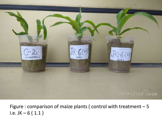 Saurabh pgpr ppt | PDF