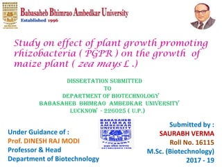 Saurabh pgpr ppt | PDF