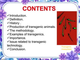 Saurabh transgenics | PPT