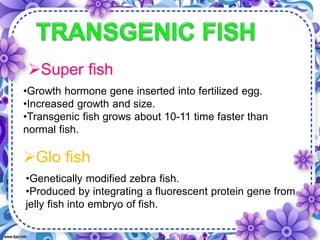 transgenic animals | PDF