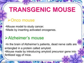 transgenic animals | PDF