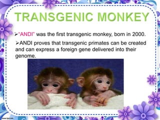 transgenic animals | PDF