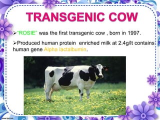 transgenic animals | PDF