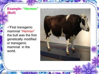 transgenic animals | PDF