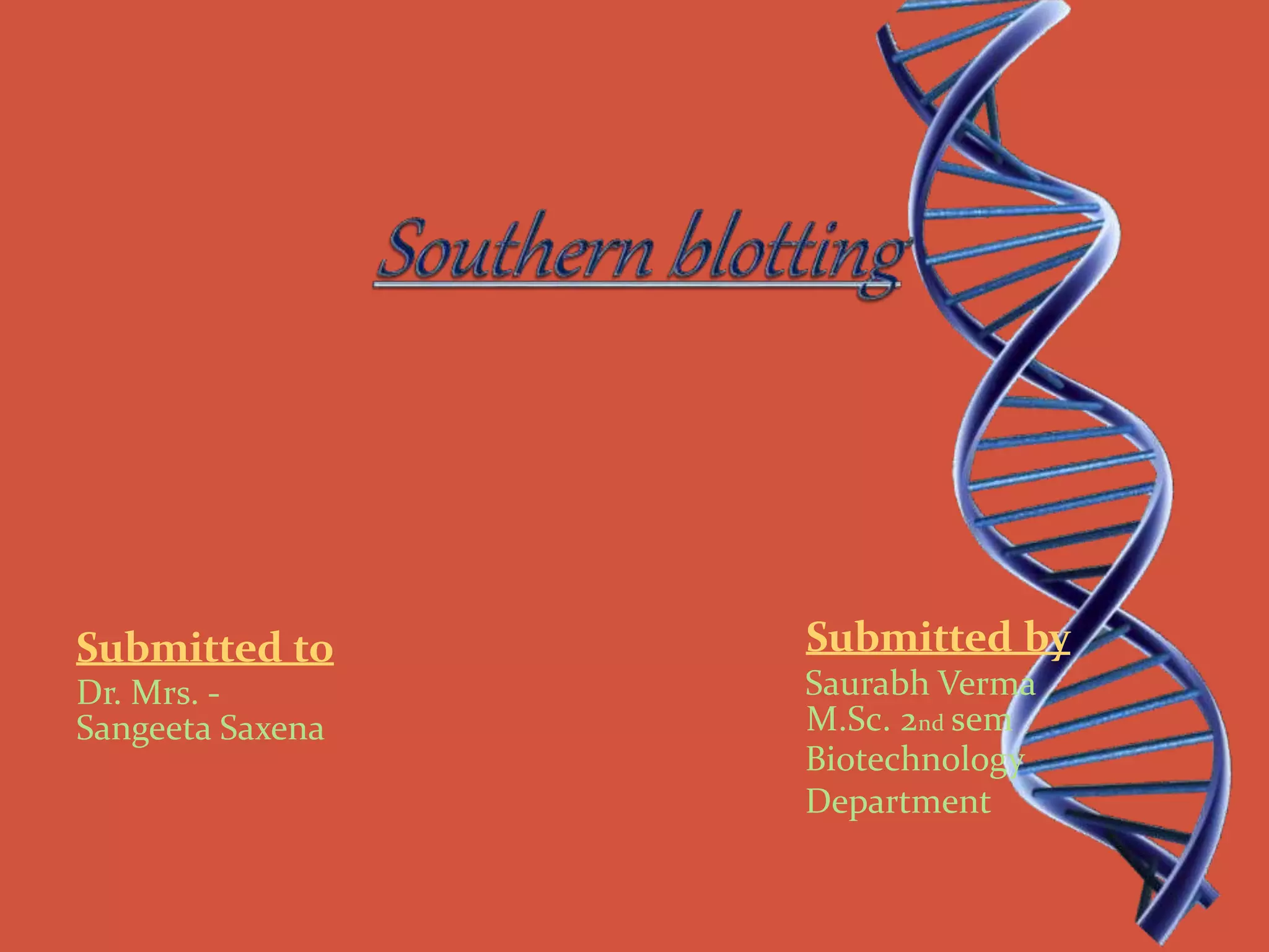 Saurabh verma southern blotting ppt | PPT