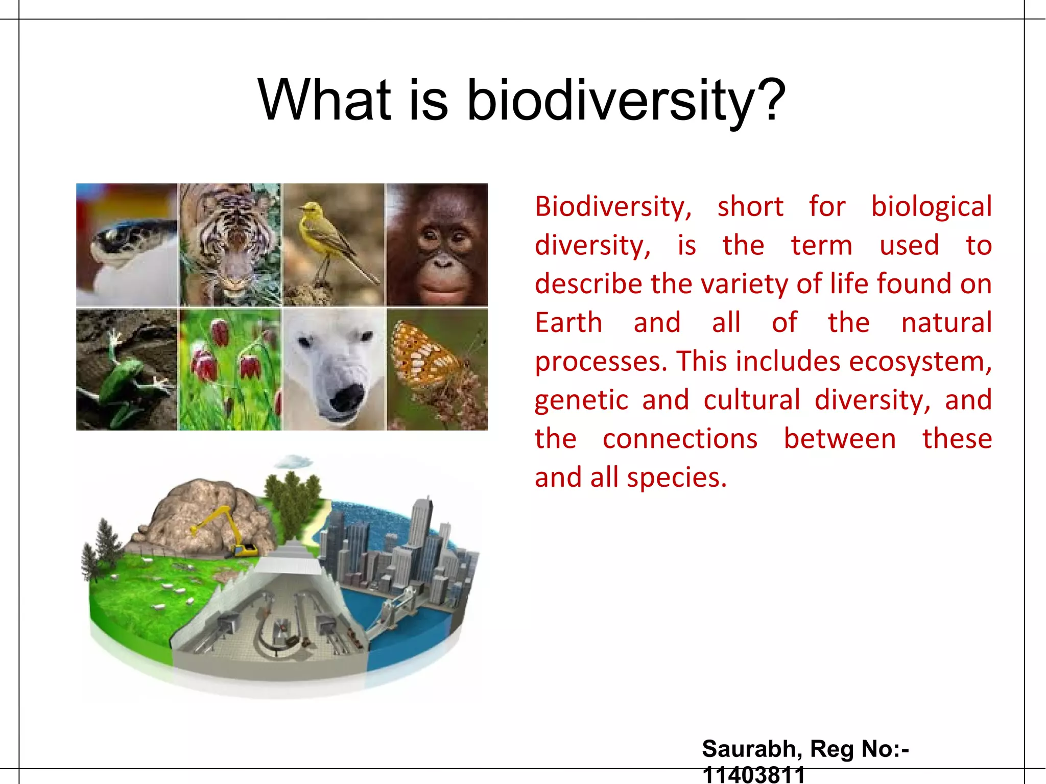 BioDiversity | PPT