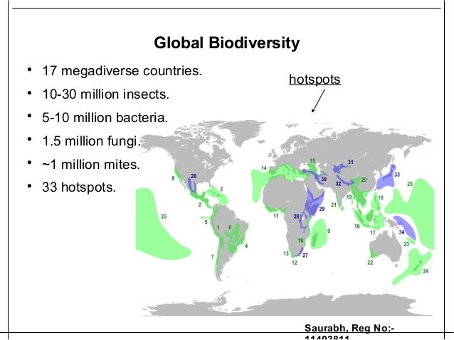 BioDiversity
