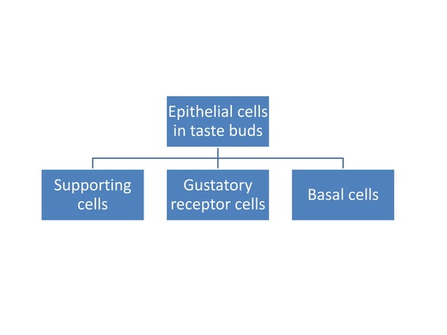 Taste masking approaches | PPTX